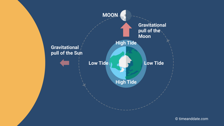 Why Does the Moon’s Gravity Pull the Ocean but Nothing Else ...